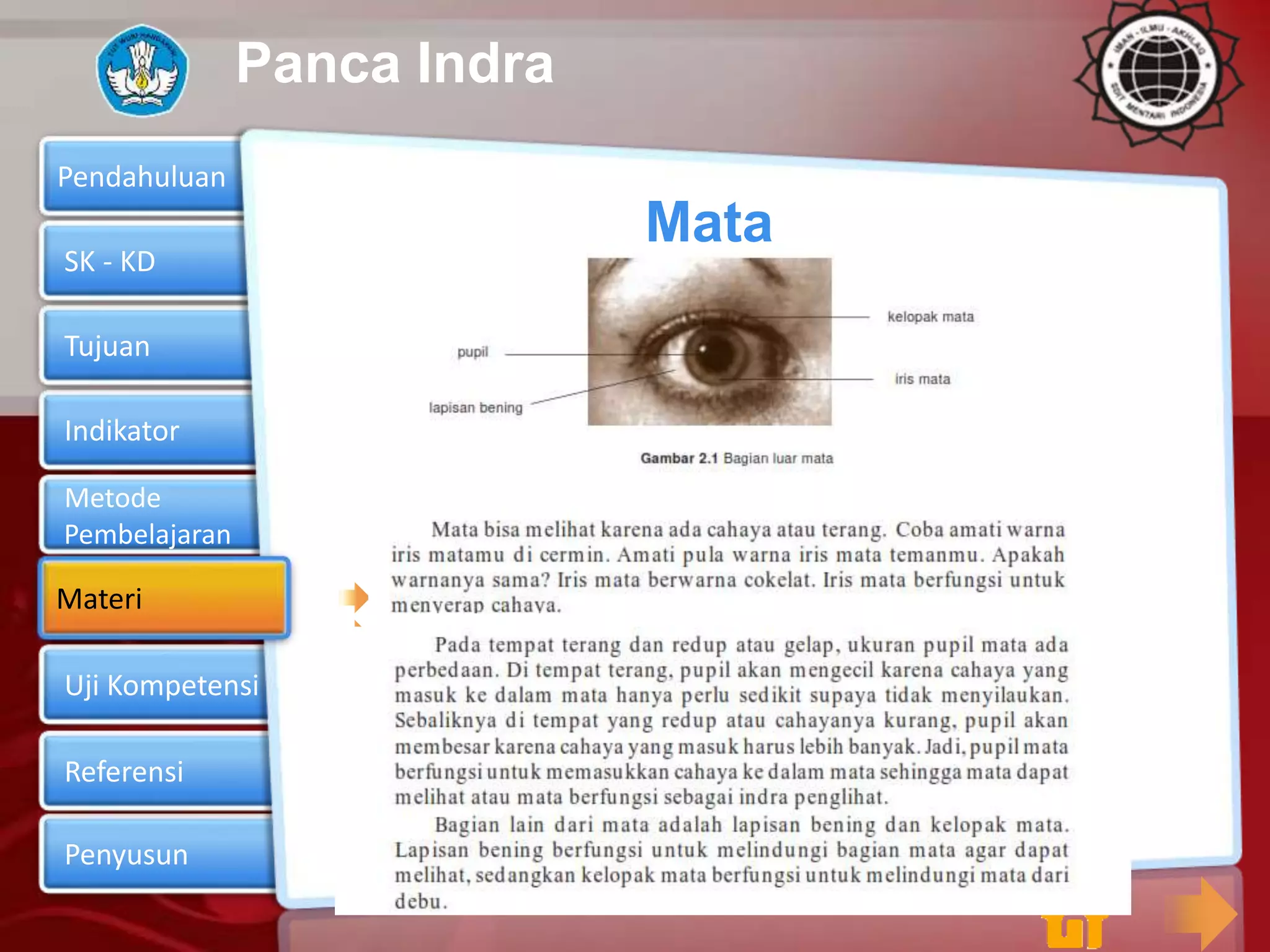 Materi ipa kelas 4 semester 1 panca indra | PPTX