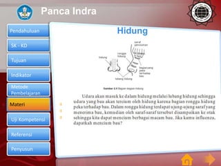 Materi ipa kelas 4 semester 1 panca indra | PPTX