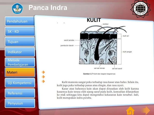 Materi ipa kelas 4 semester 1 panca indra | PPTX