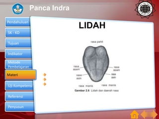 Materi ipa kelas 4 semester 1 panca indra | PPTX