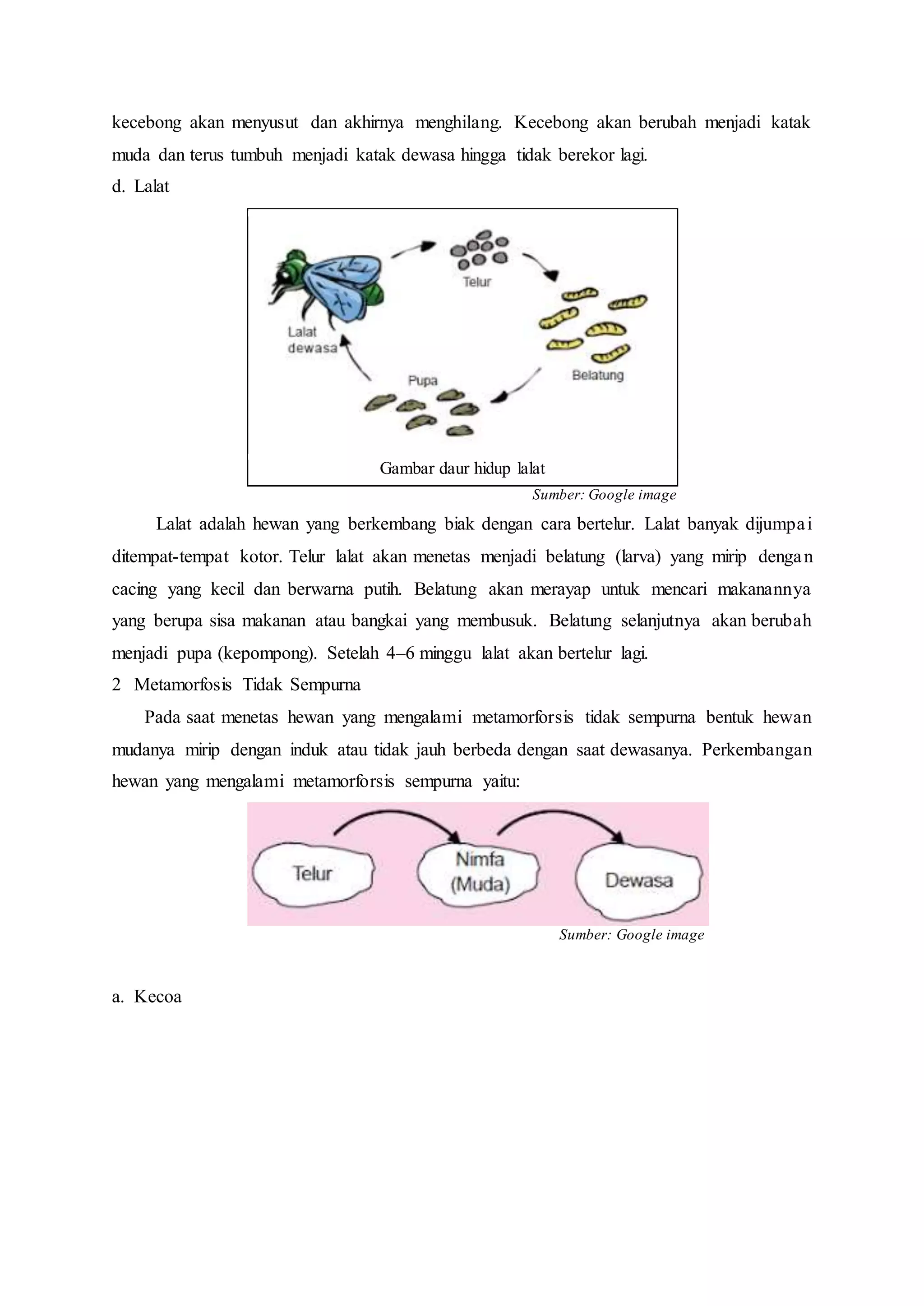 Materi ipa siklus hidup makhluk hidup | DOCX