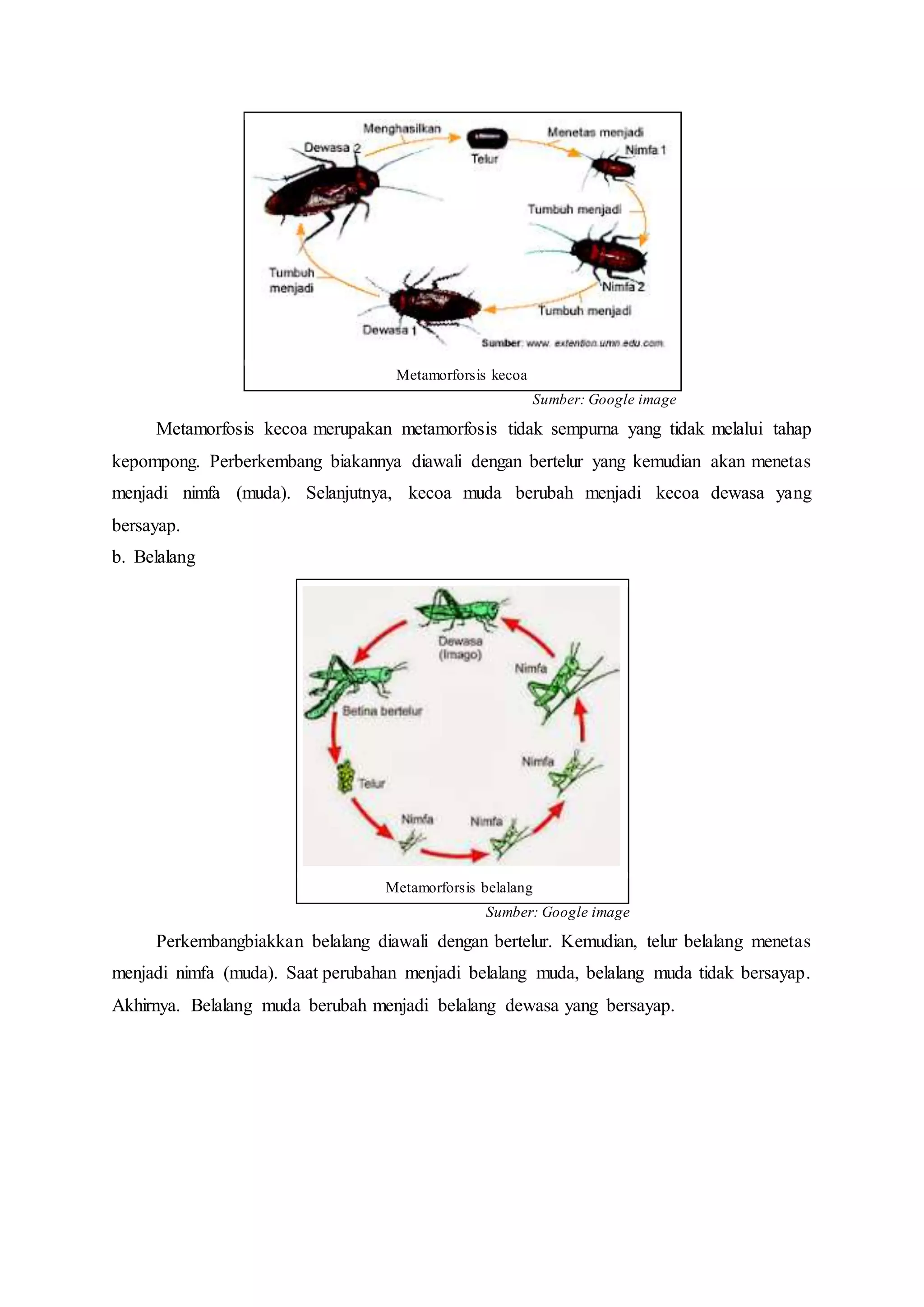 Materi ipa siklus hidup makhluk hidup | DOCX