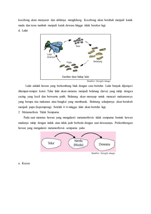 Materi ipa siklus hidup makhluk hidup | DOCX
