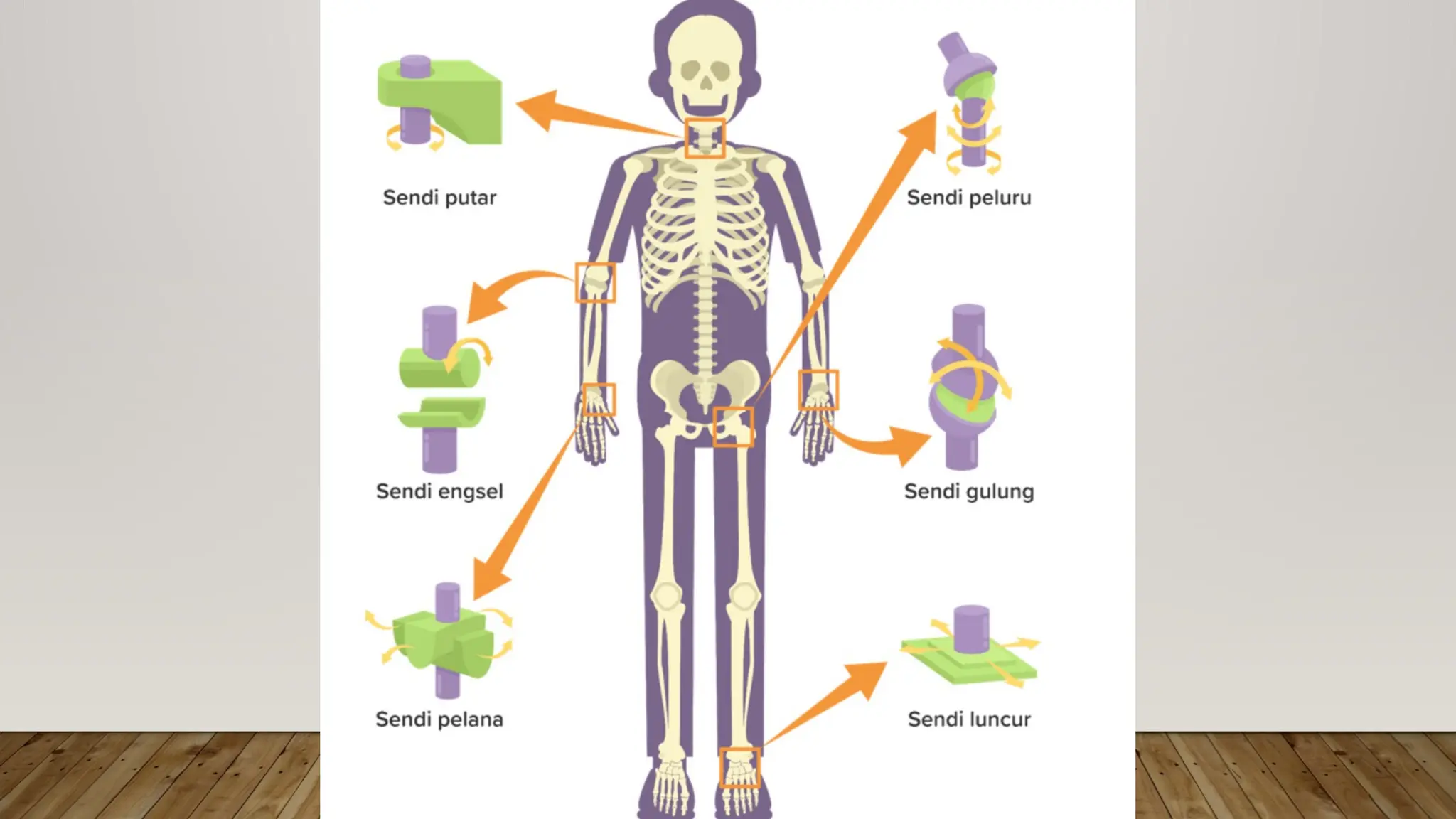 MATERI IPAS SENDI DAN RANGKA KELAS 6.pptx