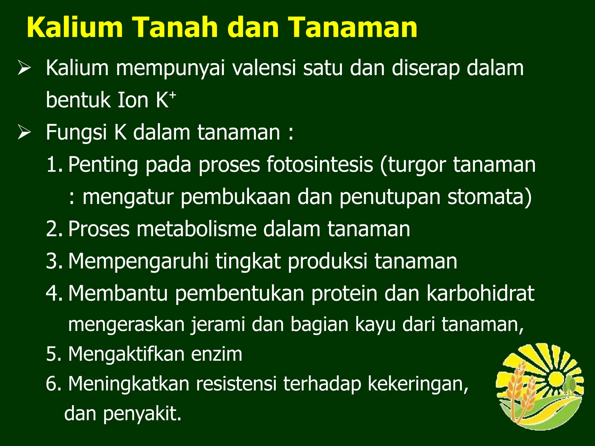 Materi Kalium Pada Tanah dan Tanaman.pdf