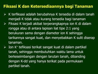 Materi Kalium Pada Tanah dan Tanaman.pdf