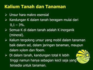 Materi Kalium Pada Tanah dan Tanaman.pdf