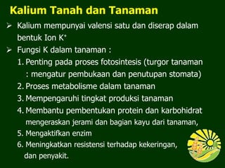 Materi Kalium Pada Tanah dan Tanaman.pdf