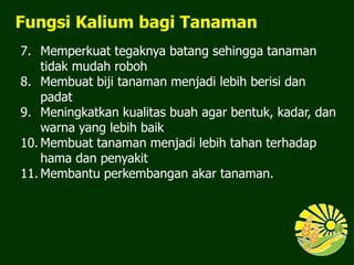Materi Kalium Pada Tanah dan Tanaman.pdf
