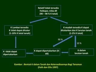 Materi Kalium Pada Tanah dan Tanaman.pdf