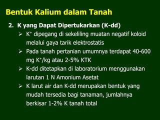Materi Kalium Pada Tanah dan Tanaman.pdf