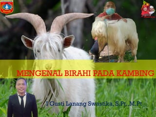 MATERI CIRI-CIRI MATERI KAMBING BIRAHI.pptx