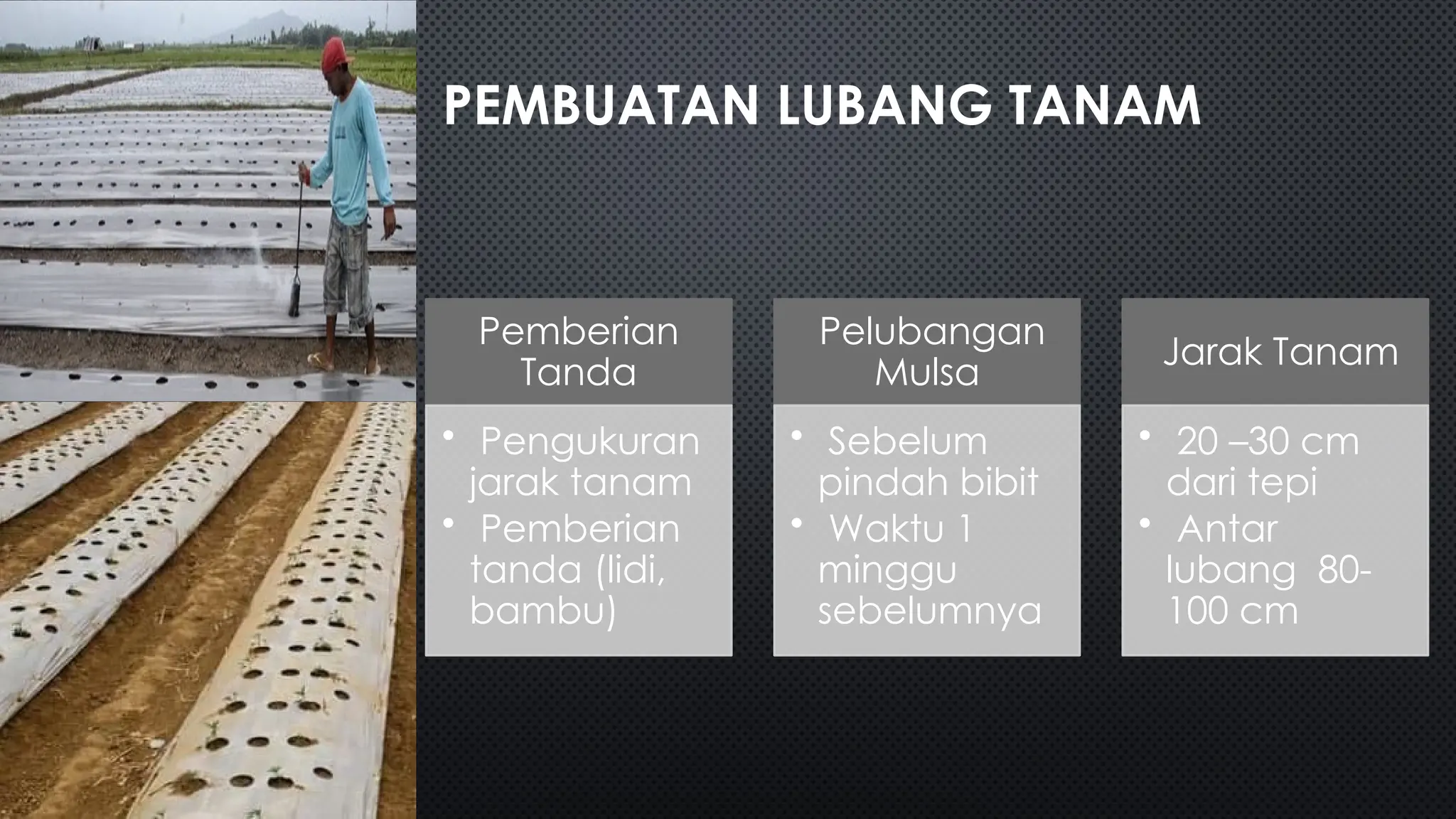 Materi KD. 3.3. Menganalisis Teknik Penggunaan Mulsa.pptx