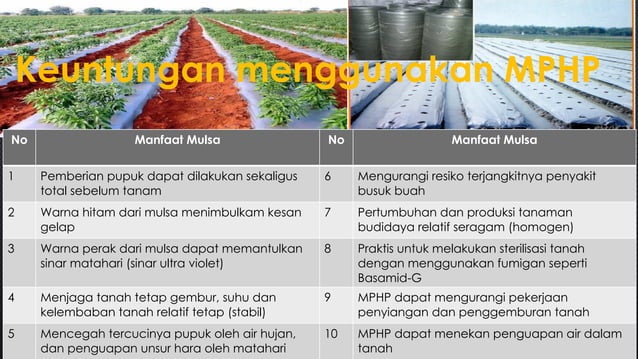 Materi KD. 3.3. Menganalisis Teknik Penggunaan Mulsa.pptx