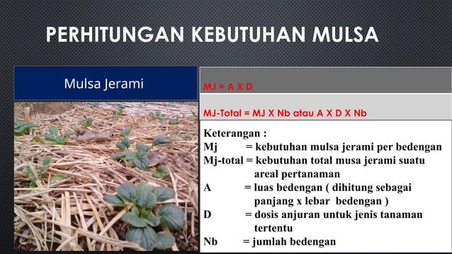 Materi KD. 3.3. Menganalisis Teknik Penggunaan Mulsa.pptx