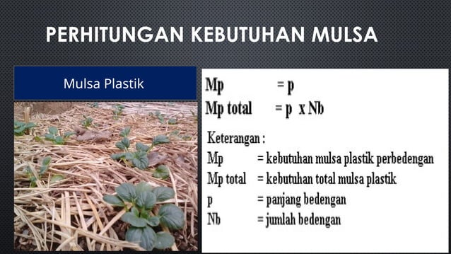 Materi KD. 3.3. Menganalisis Teknik Penggunaan Mulsa.pptx