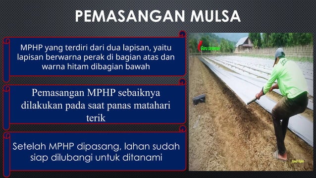 Materi KD. 3.3. Menganalisis Teknik Penggunaan Mulsa.pptx