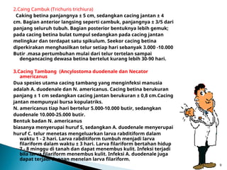 MATERI PPT KECACINGAN PUSKESMAS TAHUN 2025 | PPT
