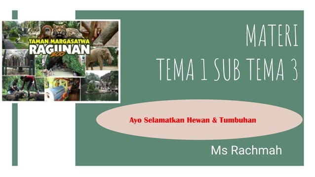 Materi kelas 6 sd tema 1 sub tema 3 ayo selamatkan hewan & tumbuhan | PPTX
