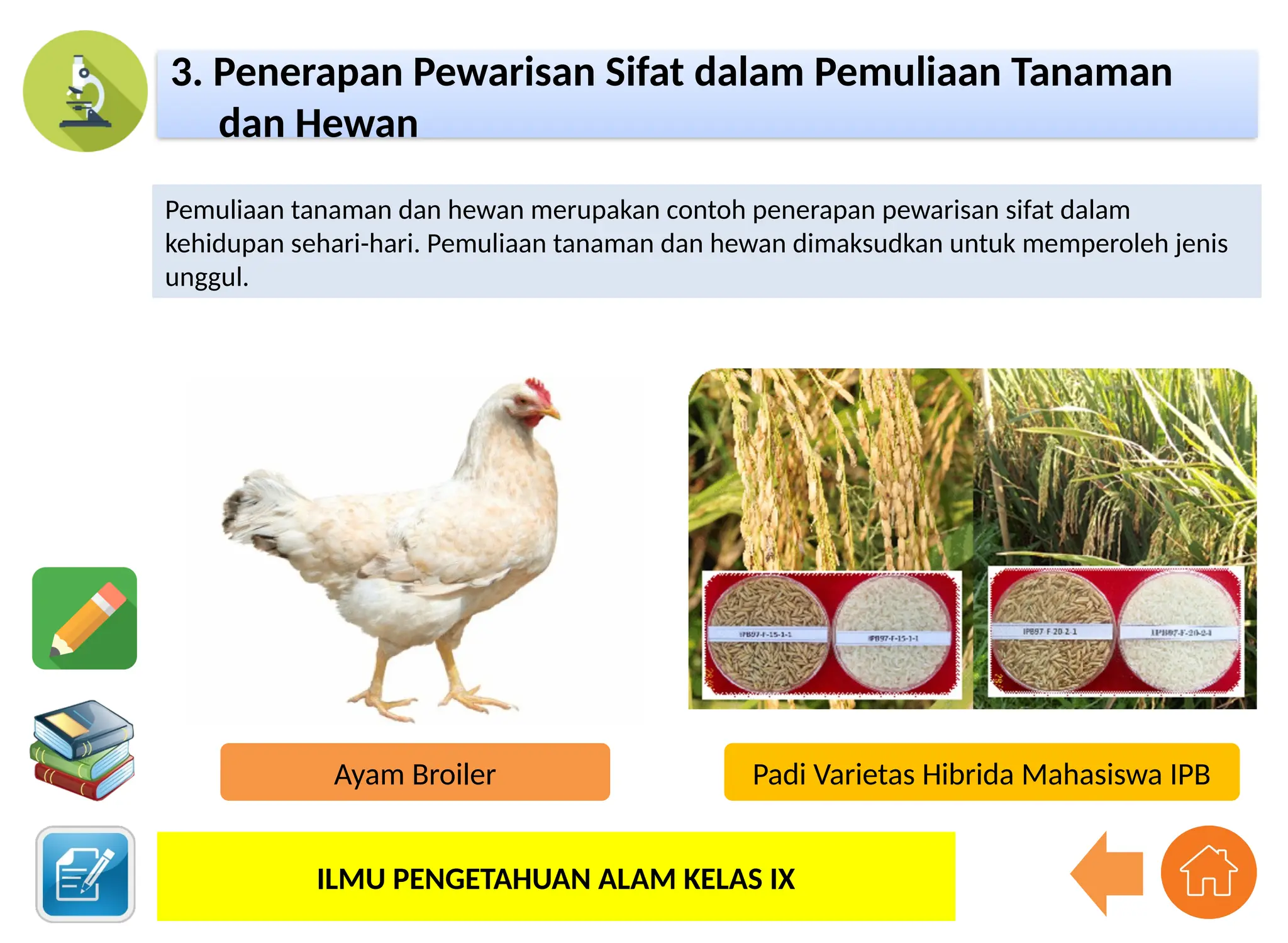 MATERI KELAS 9 IPA_BAB_PEWARISAN SIFAT.pptx