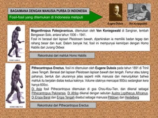 Materi kelas x mengenal manusia purba, agustus 2020 | PPT