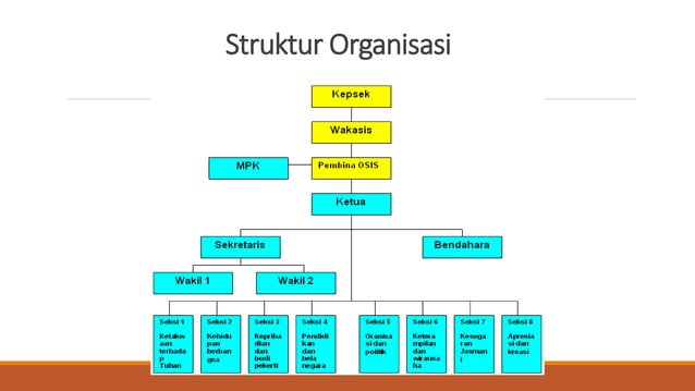 Materi Keorganisasian.pptx