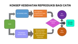 MATERI KESPRO CALON PENGANTIN.pptx