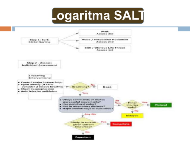 materi konsep dan Model TRIASE Bencana.pptx