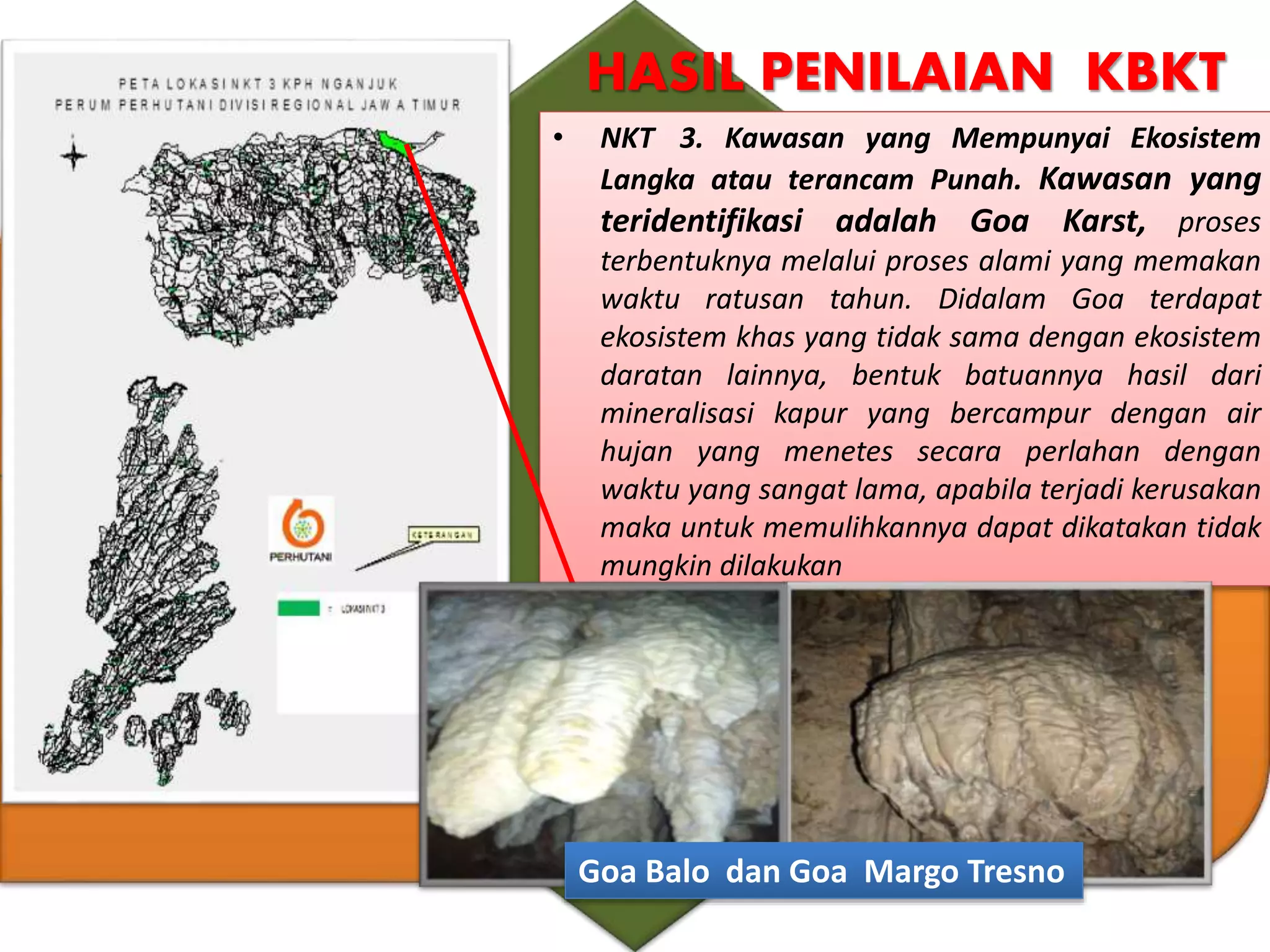 Materi konsultasi publik hcvf KPH Nganjuk | PPTX