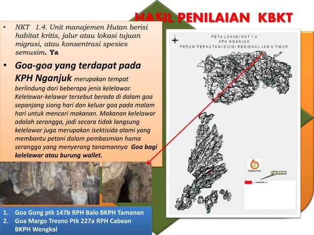 Materi konsultasi publik hcvf KPH Nganjuk | PPTX