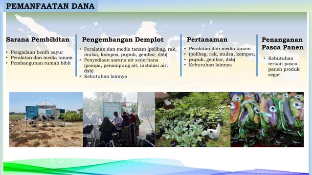 Materi Koordinasi P2L (pekarangan pangan lestari) 2024.pptx