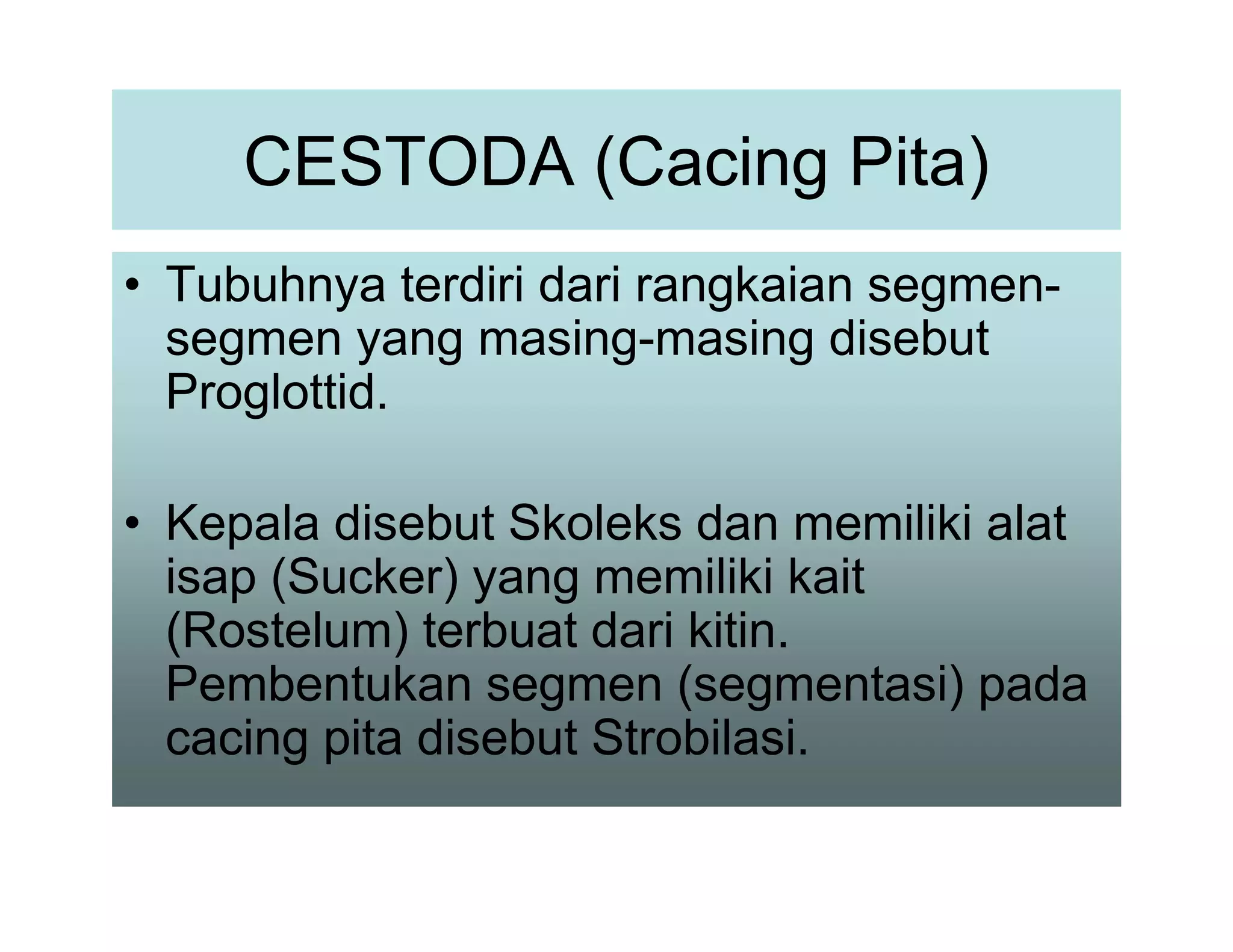 Materi kul. bio aver (platyhelminthes) | PDF