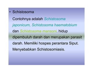Materi kul. bio aver (platyhelminthes) | PPT