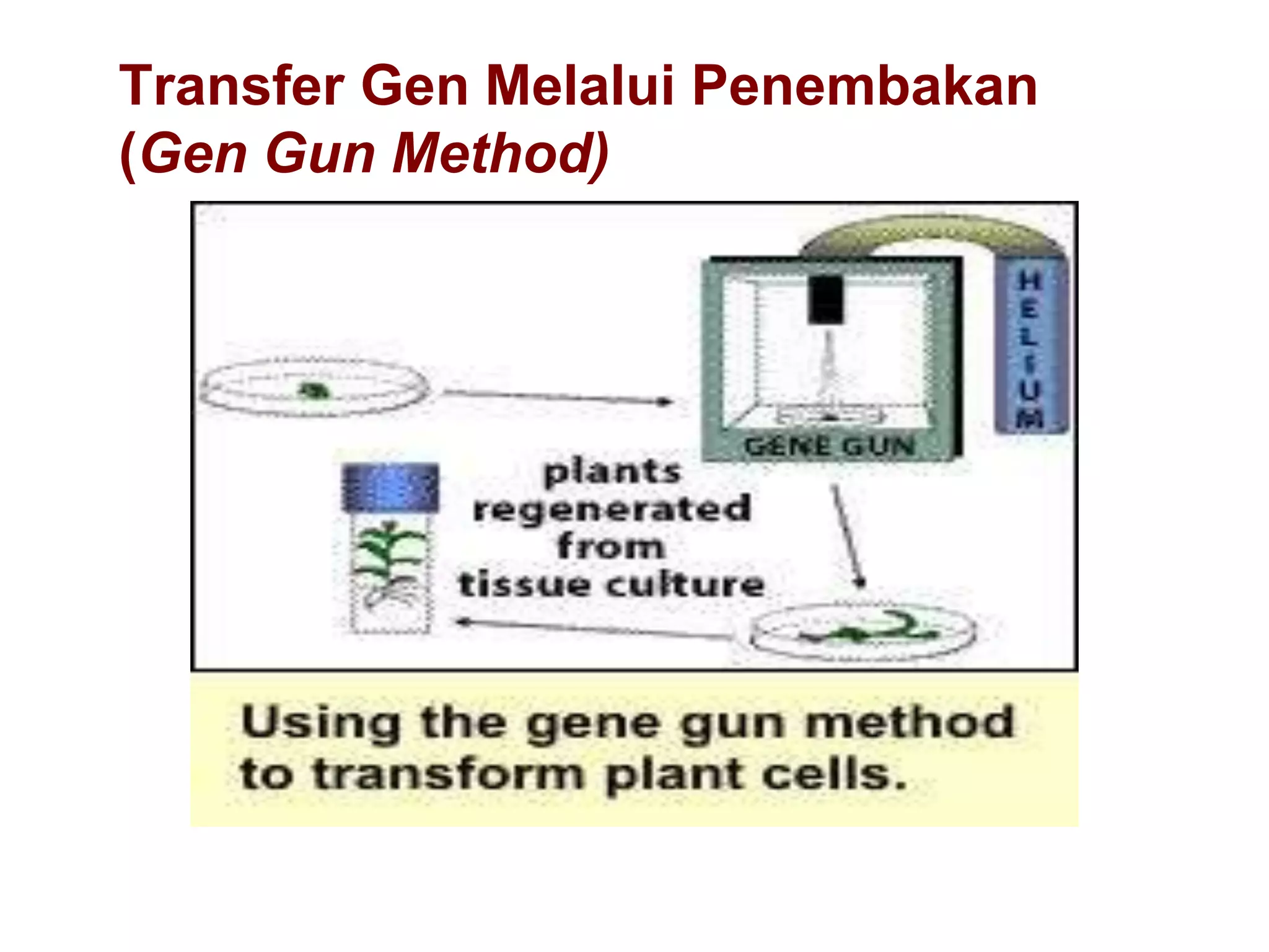 Materi Kuliah Bioteknologi dan Rekayasa Genetika.ppt