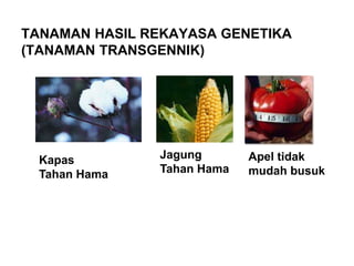 Materi Kuliah Bioteknologi dan Rekayasa Genetika.ppt