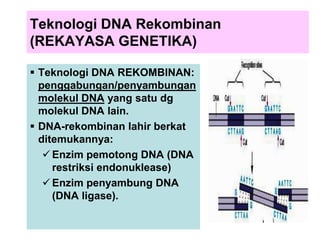 Materi Kuliah Bioteknologi dan Rekayasa Genetika.ppt