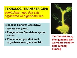 Materi Kuliah Bioteknologi dan Rekayasa Genetika.ppt