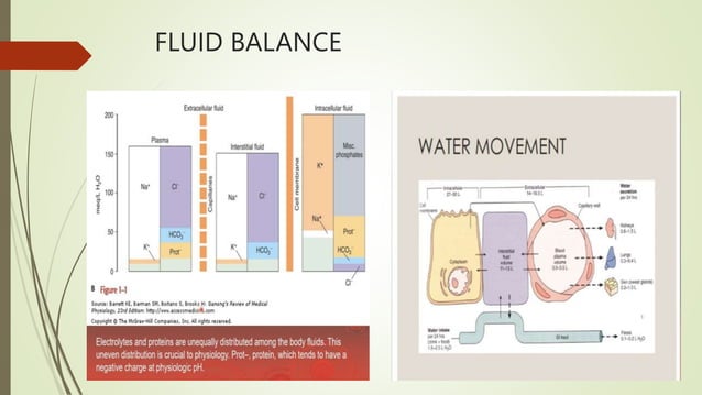 MATERI KULIAH Cairan Tubuh dan kelainan English.pptx