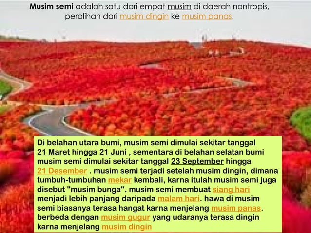 materi jenis-jenis iklim yang ada di bumi | PPTX