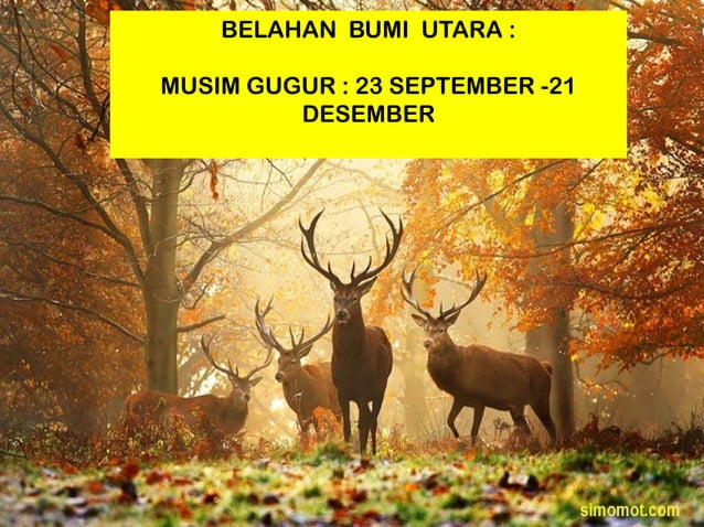 materi jenis-jenis iklim yang ada di bumi | PPTX