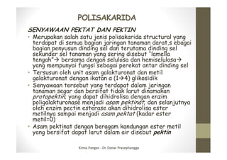 ITP UNS Semester 3, KIMIA PANGAN: karbohidrat (polisakarida) | PDF