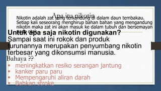 Materi layanan informasi dampak nikotin | PPT