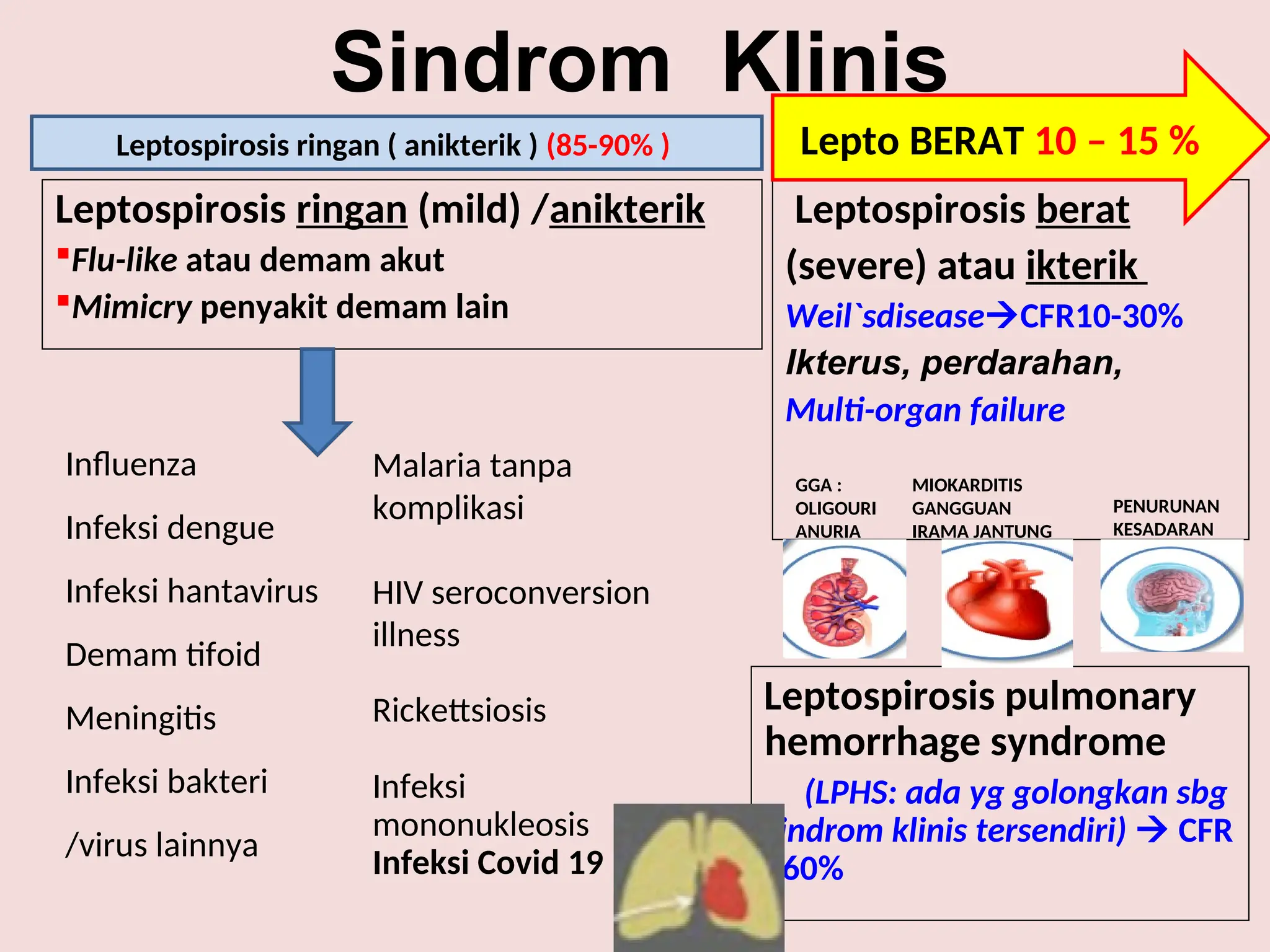 contoh Materi mengenai penyakit Leptospirosis | PPT