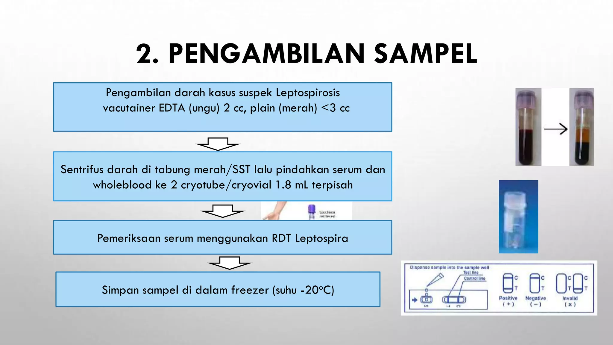 MATERI LEPTO SENTINEL.ppt