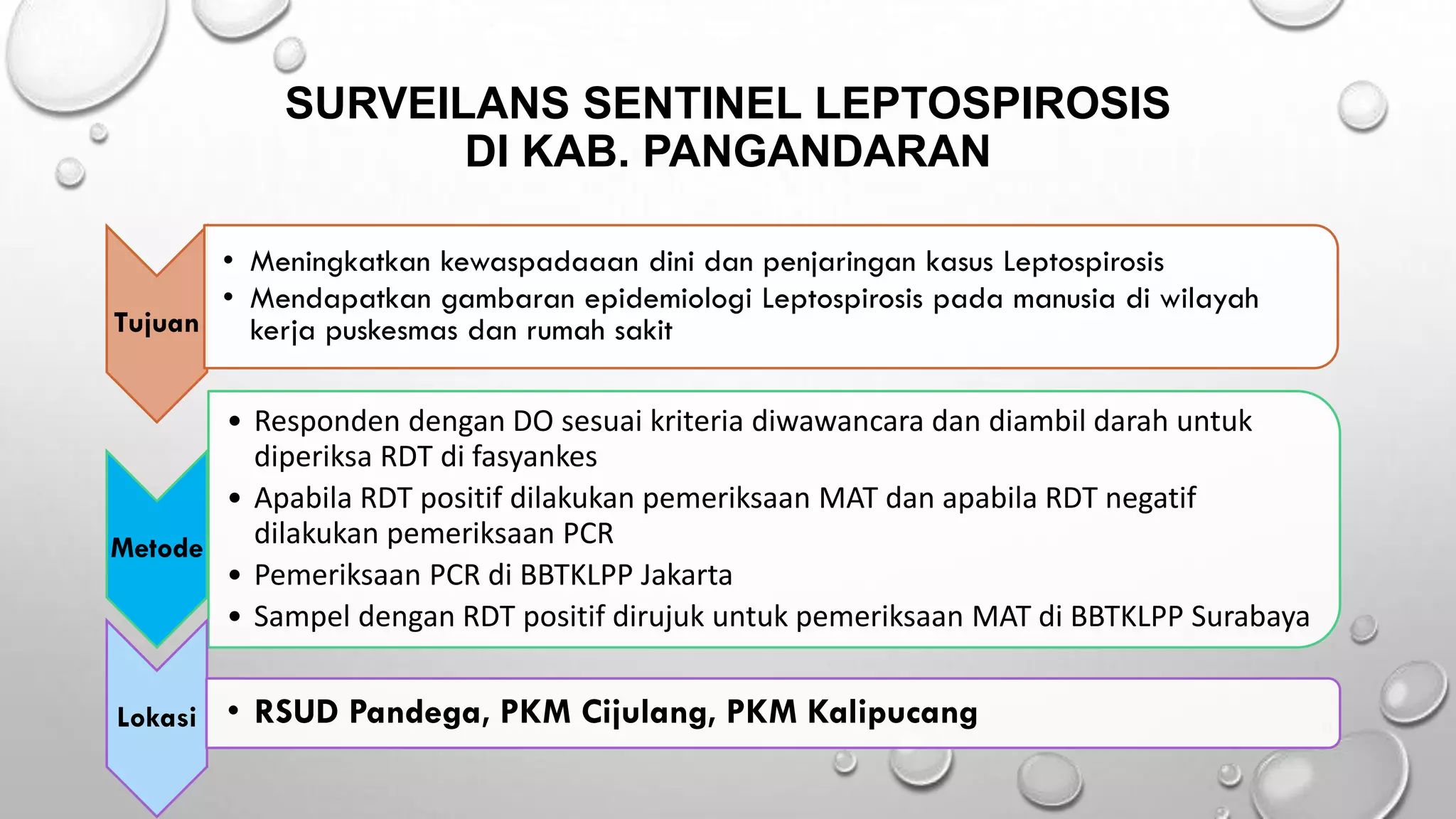 MATERI LEPTO SENTINEL.ppt