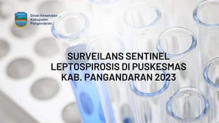 MATERI LEPTO SENTINEL.ppt