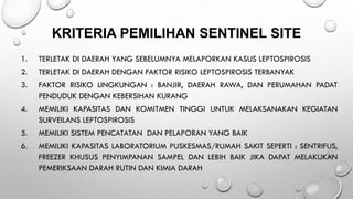 MATERI LEPTO SENTINEL.ppt