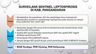 MATERI LEPTO SENTINEL.ppt