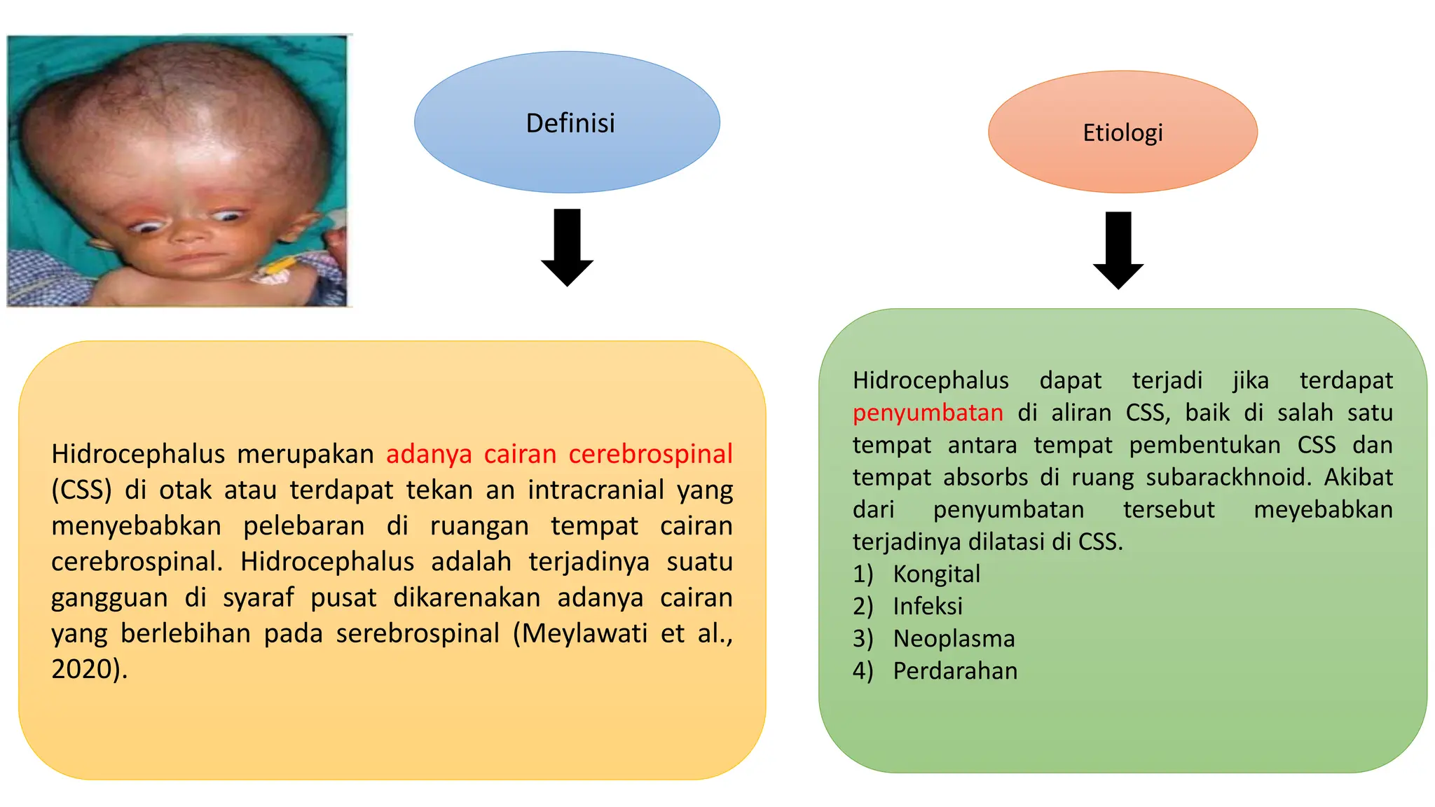 Materi meningitis pada anak dan asuhan keperawatannya .pptx