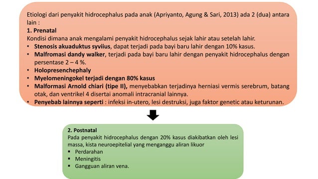 Materi meningitis pada anak dan asuhan keperawatannya .pptx